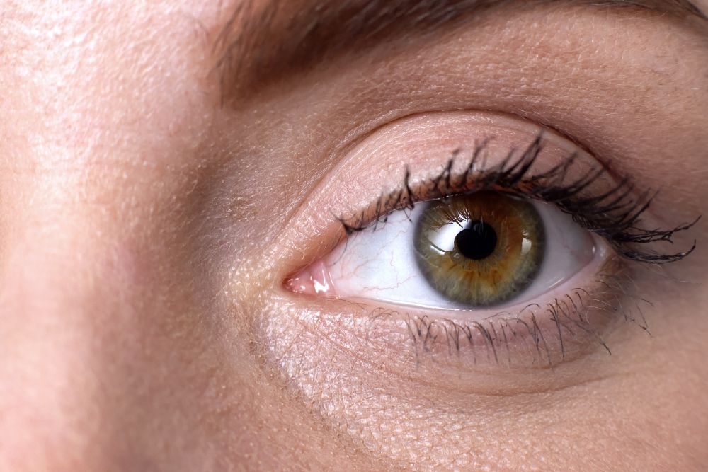 The Optometrist's Collaboration With a Retina Specialist | RCSD Blog